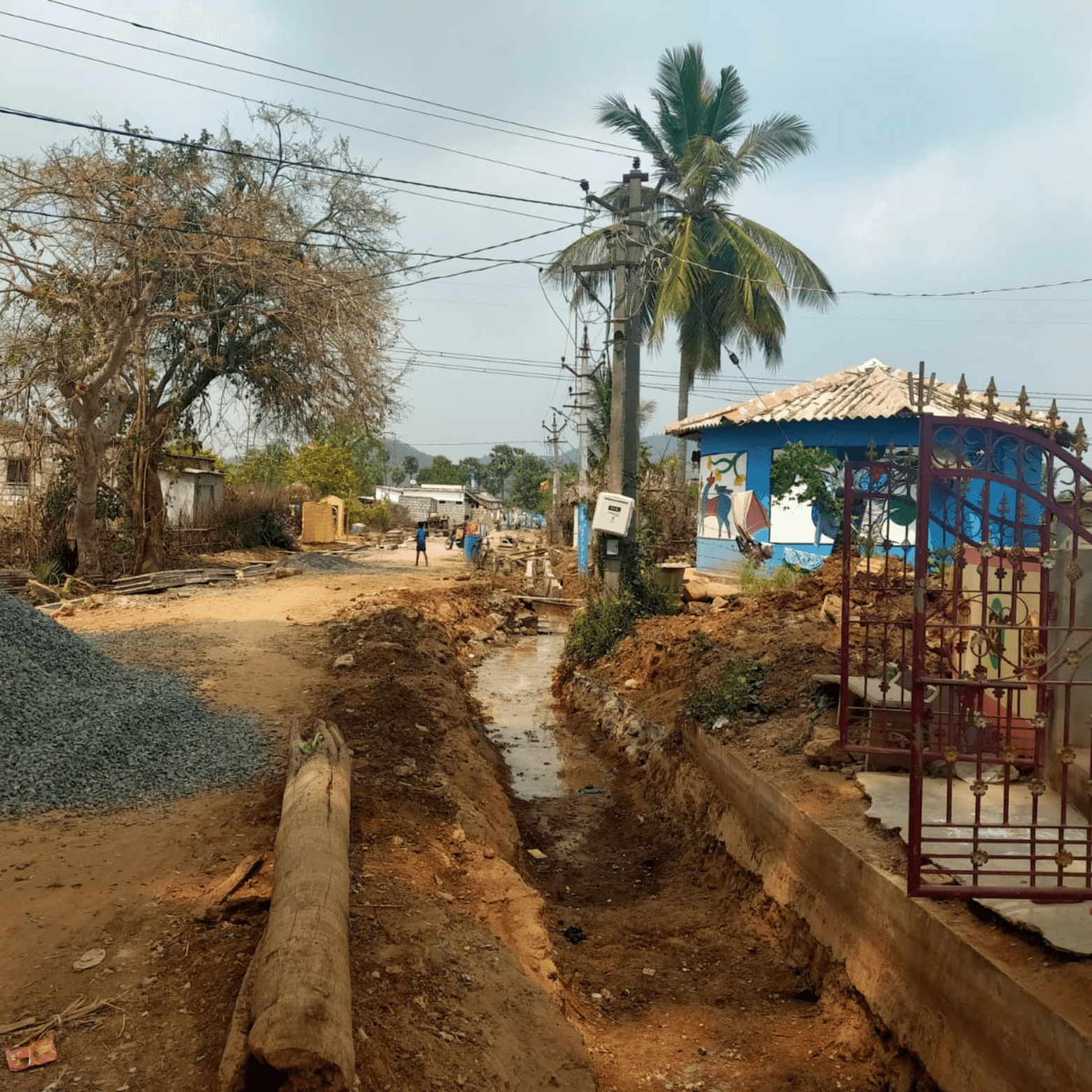 Smart Village Revolution